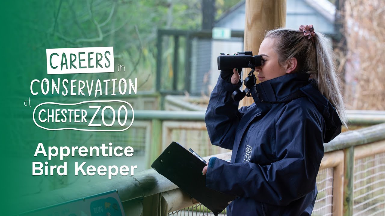 Chester Zoo Careers - Apprentice Bird Keeper - YouTube