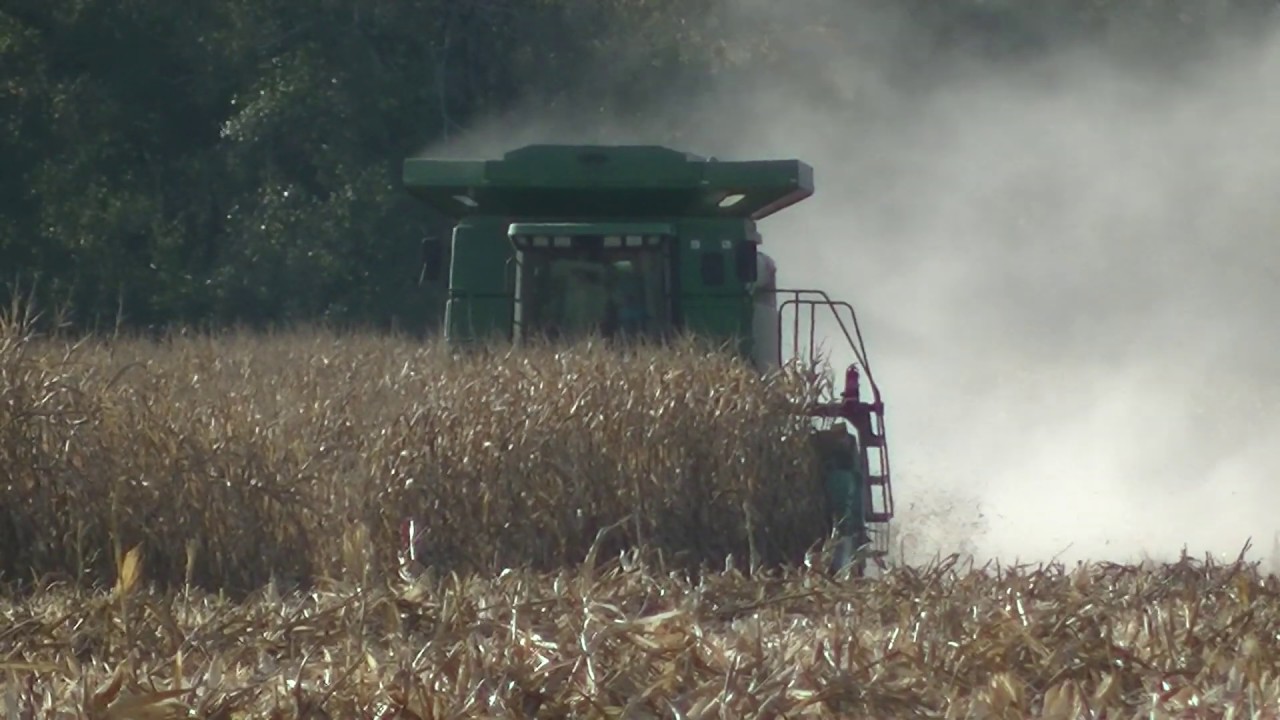 DOUBLE CROP CORN!! JOHN DEERE 9650 PICKING DOUBLE CROP CORN. SK FARMS ...