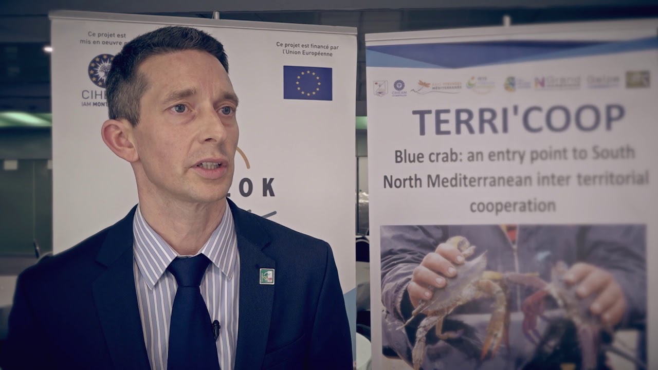 Micro-trottoir avec Mario Gerharlt - Analyste économique et politique ...