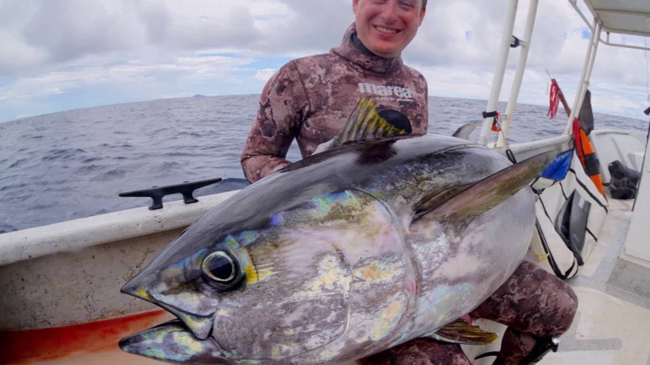 Spearfishing Yellow Fin Tuna in Panama - YouTube