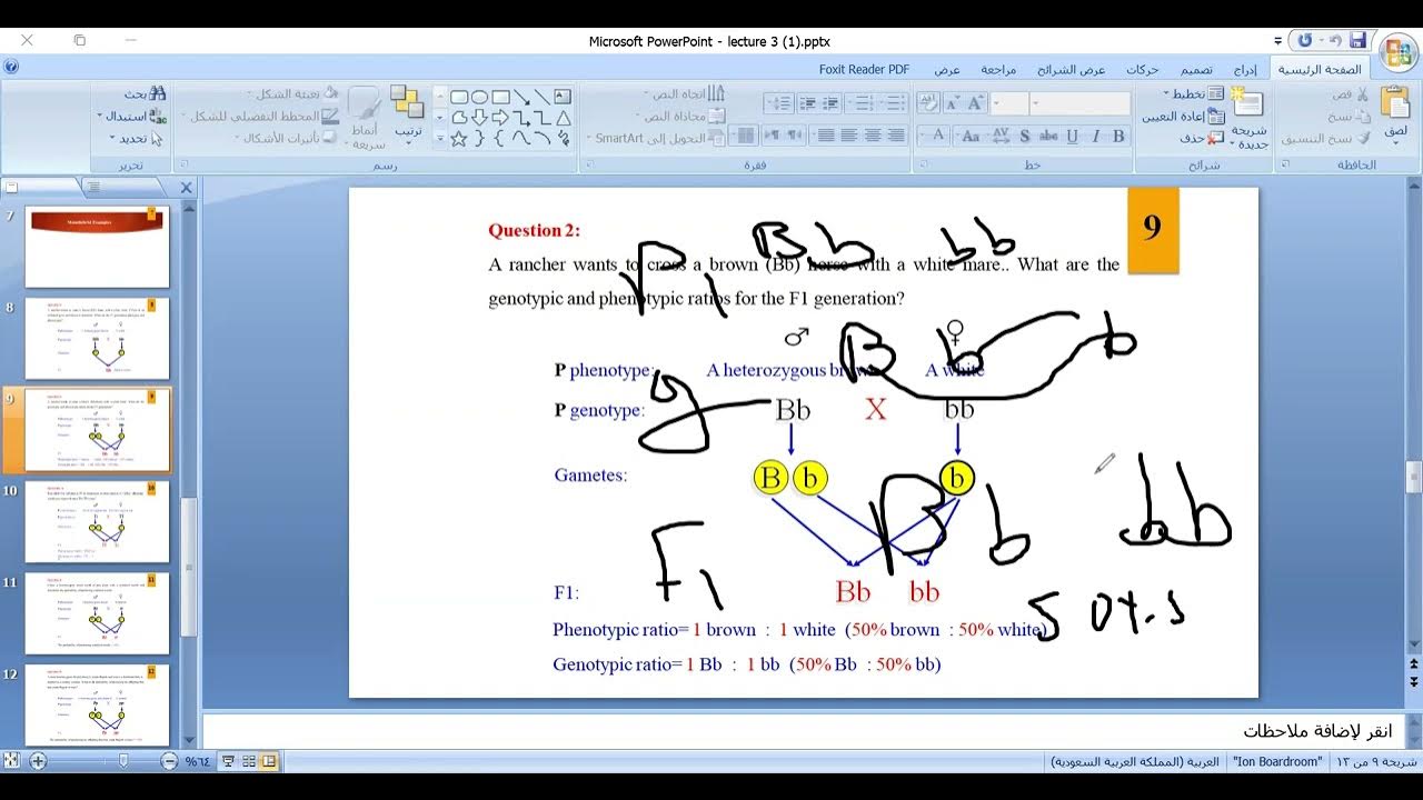 lec 3 genetics - YouTube