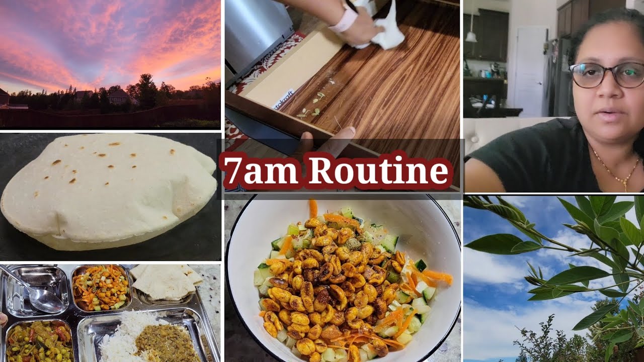 Morning to Evening routine|Cleaning, Cooking|High Protein easy salad ...