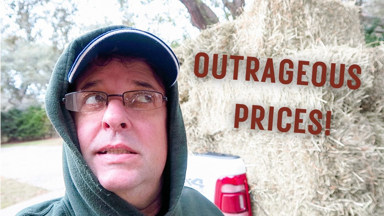 Outrageous Prices Chat - YouTube