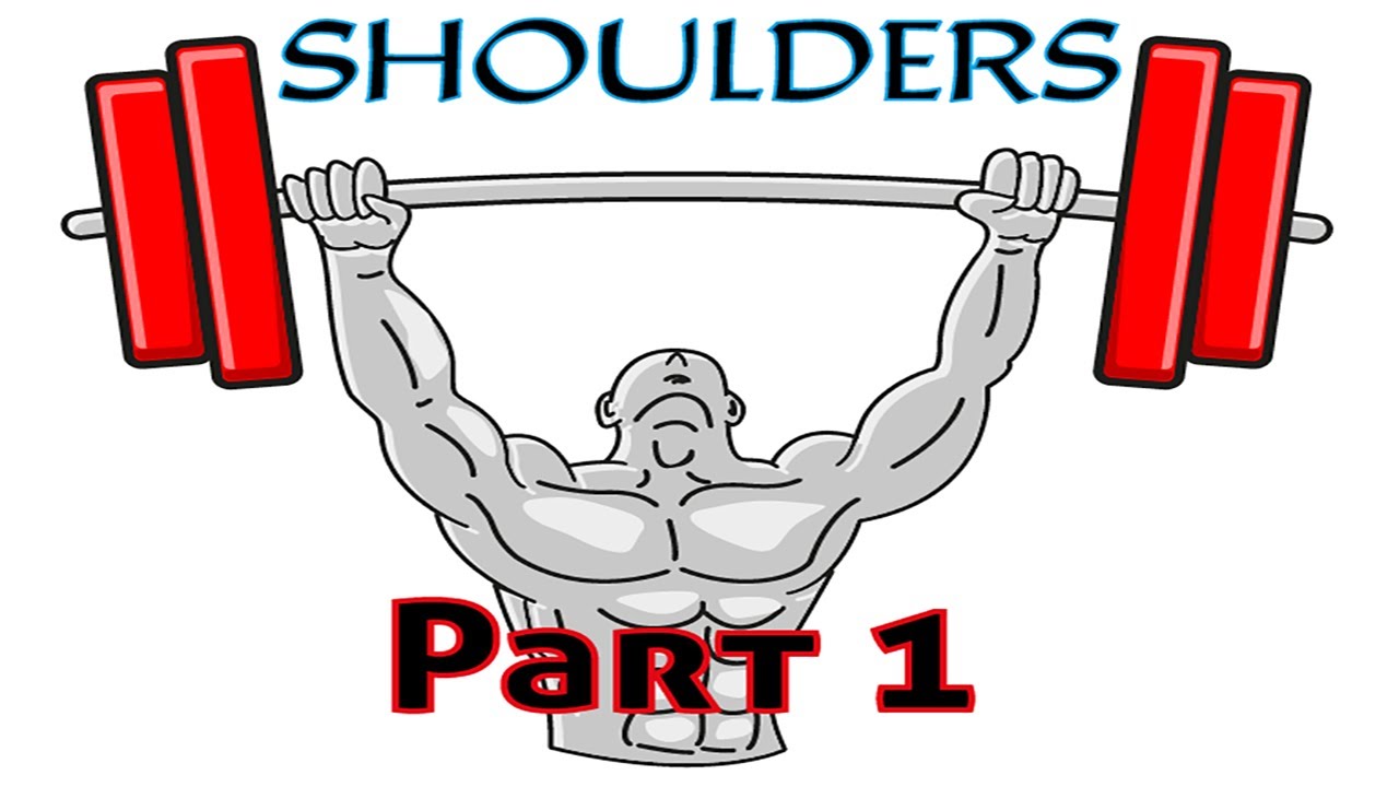 Shoulders Part 1 - Variations and Correct Form - Exercise Instruction ...