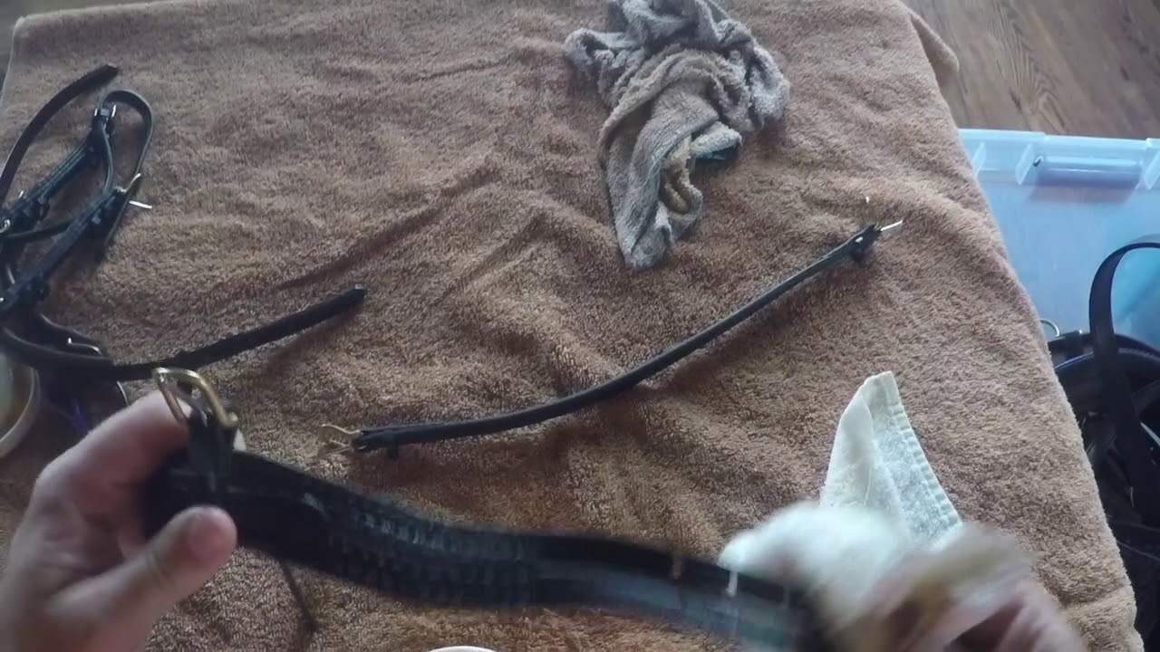 How I Clean My Bridle - YouTube