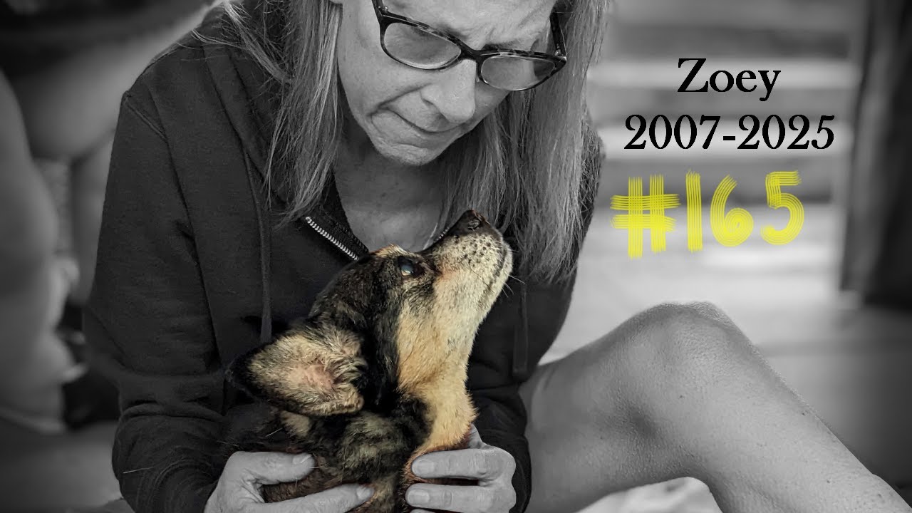 Saying Goodbye to Zoey - YouTube