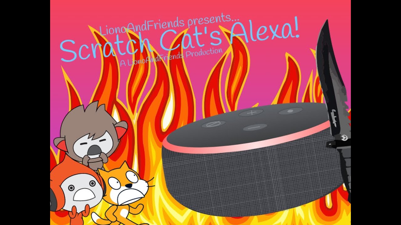 Scratch Cat's Alexa! - YouTube