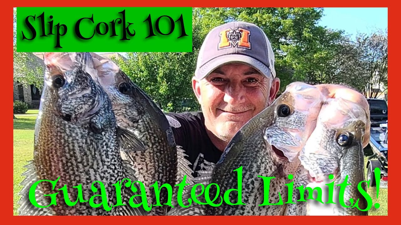Slip Cork 101 with Livescope - YouTube