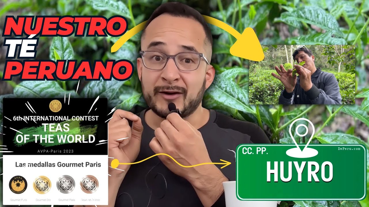La ruta del TÉ PERUANO | La revolución del TÉ de especialidad en CUSCO ...