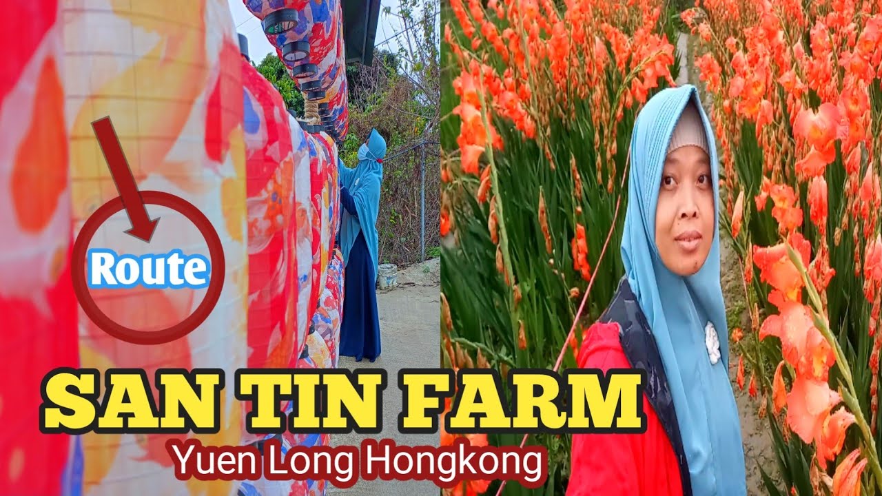 How to go to Shun Sum Yuen Garden Yuen Long Hongkong Part I - YouTube