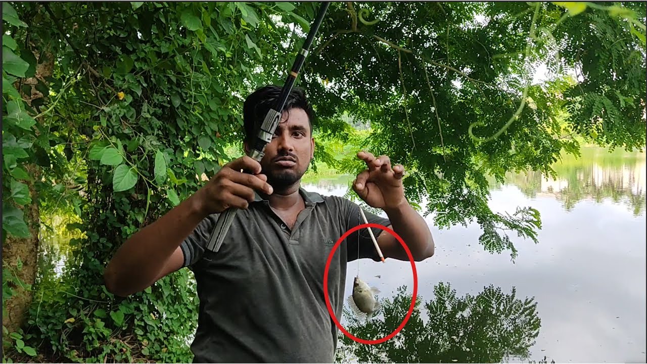 Best Hook Fishing| Catching The Tilapia fish | unbelievable Fishing ...