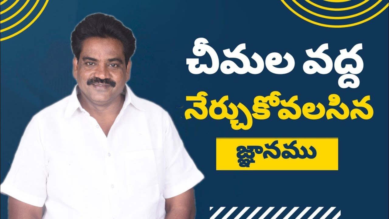 చీమల వద్ద నేర్చుకోవలసిన జ్ఞానము || P.V. Raju Garu || NJPH Church Eluru ...