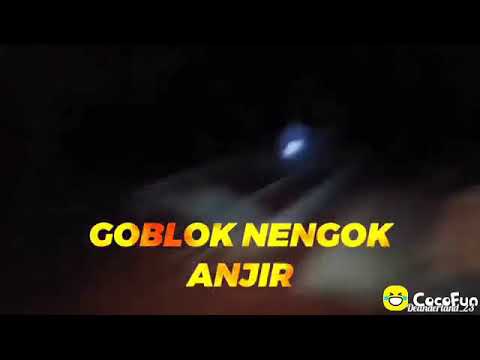 Sehrem min banget anjcy