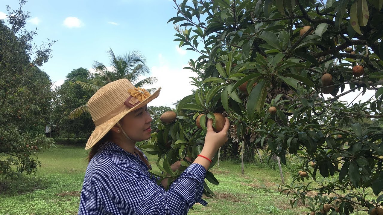 Farm Visit // Pick up Fruits // Pick up Vegetables // Yummy Cooking ...