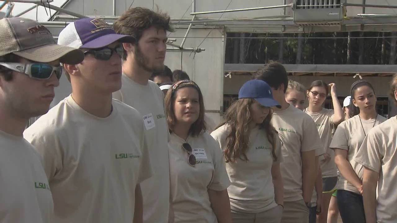 High school students delve into the world of agriculture - YouTube