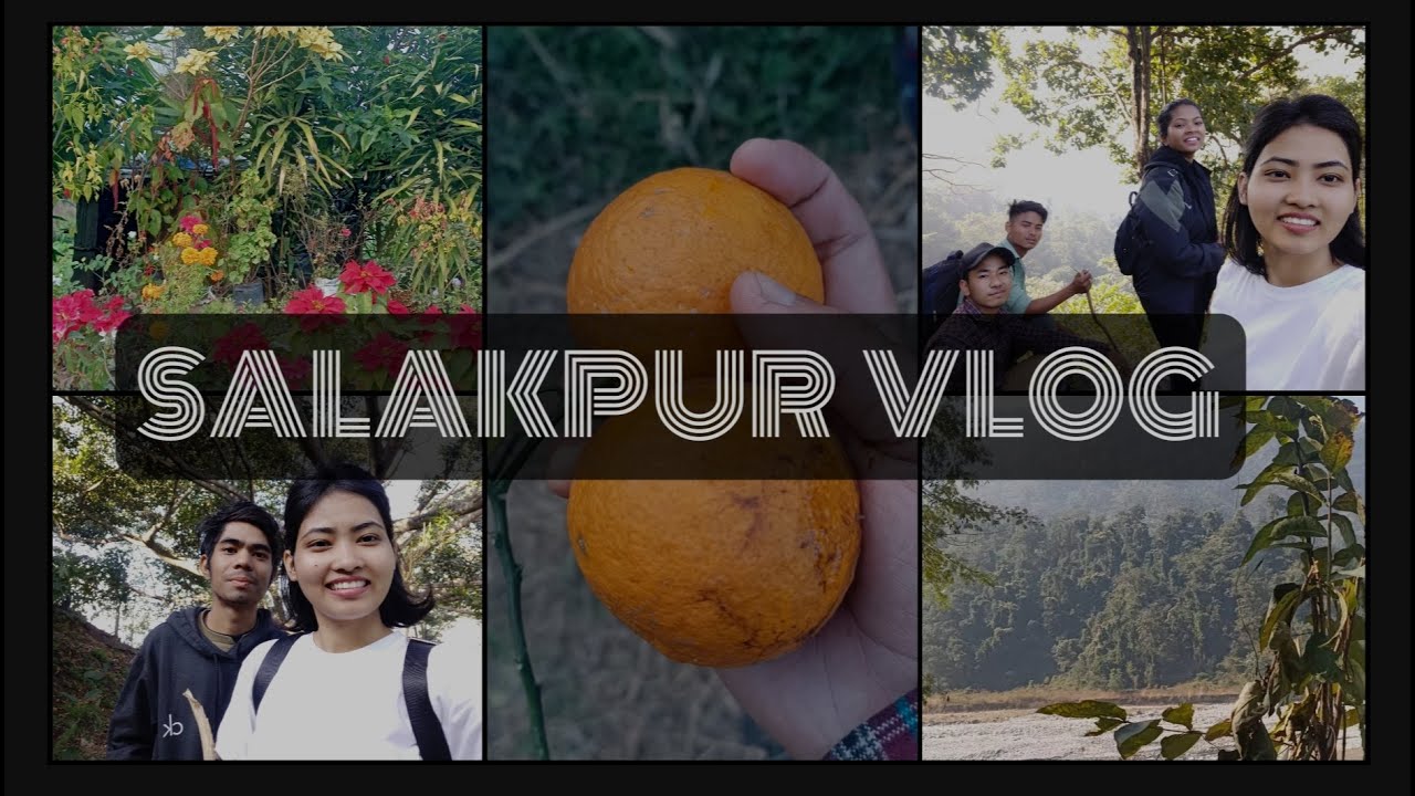 SALAKPUR VLOG ||traveling and exploring from siliguri to salakpur ...