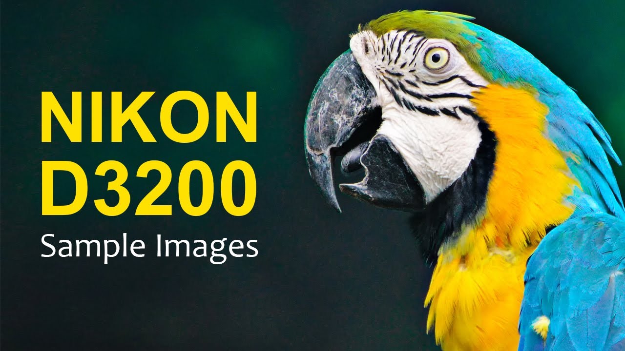 Nikon D3200 Sample Images