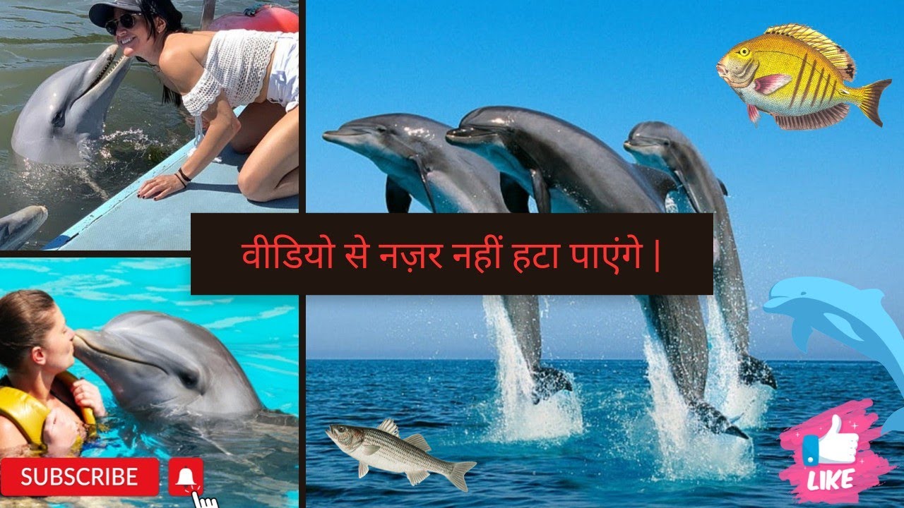 Nice Vlog Day 3|Hum Sabne Bahut Enjoy Kiya💃💃💃 - YouTube