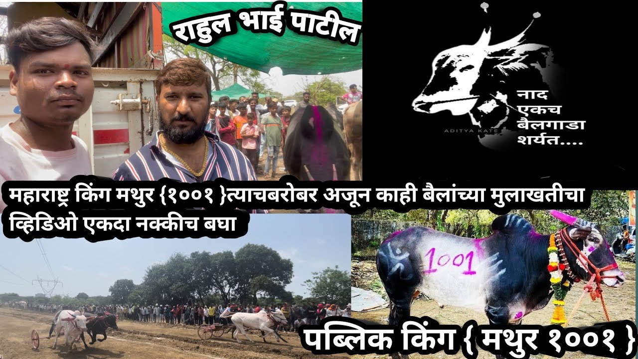 Maharashtra king mathur (1001) tyachbarobar ajun kahi beilanchya ...