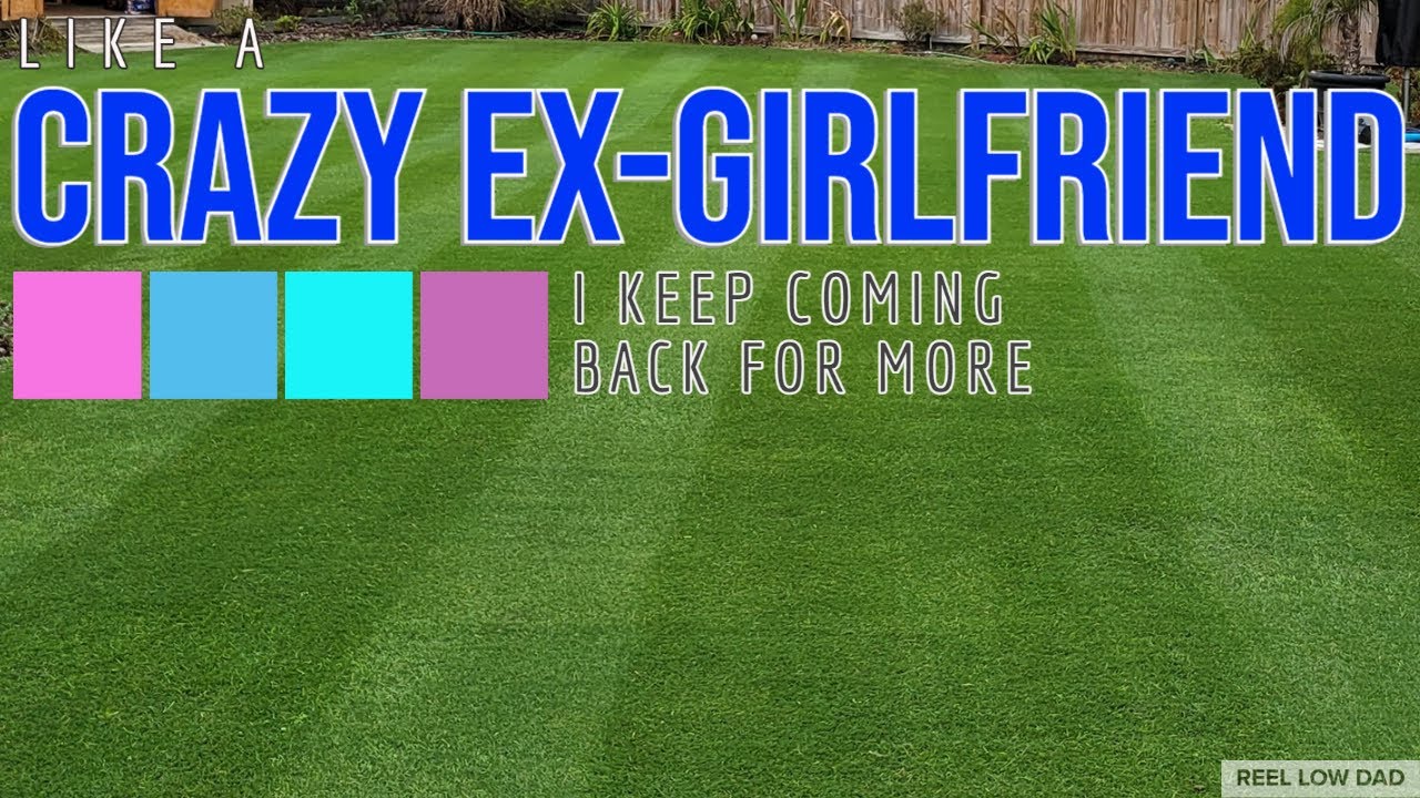 Spring Lawn Fertilization | The Bluemuda is Back! - YouTube