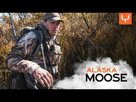 MeatEater Season 9 | Alaska Moose: The Guide Life Ep. 10