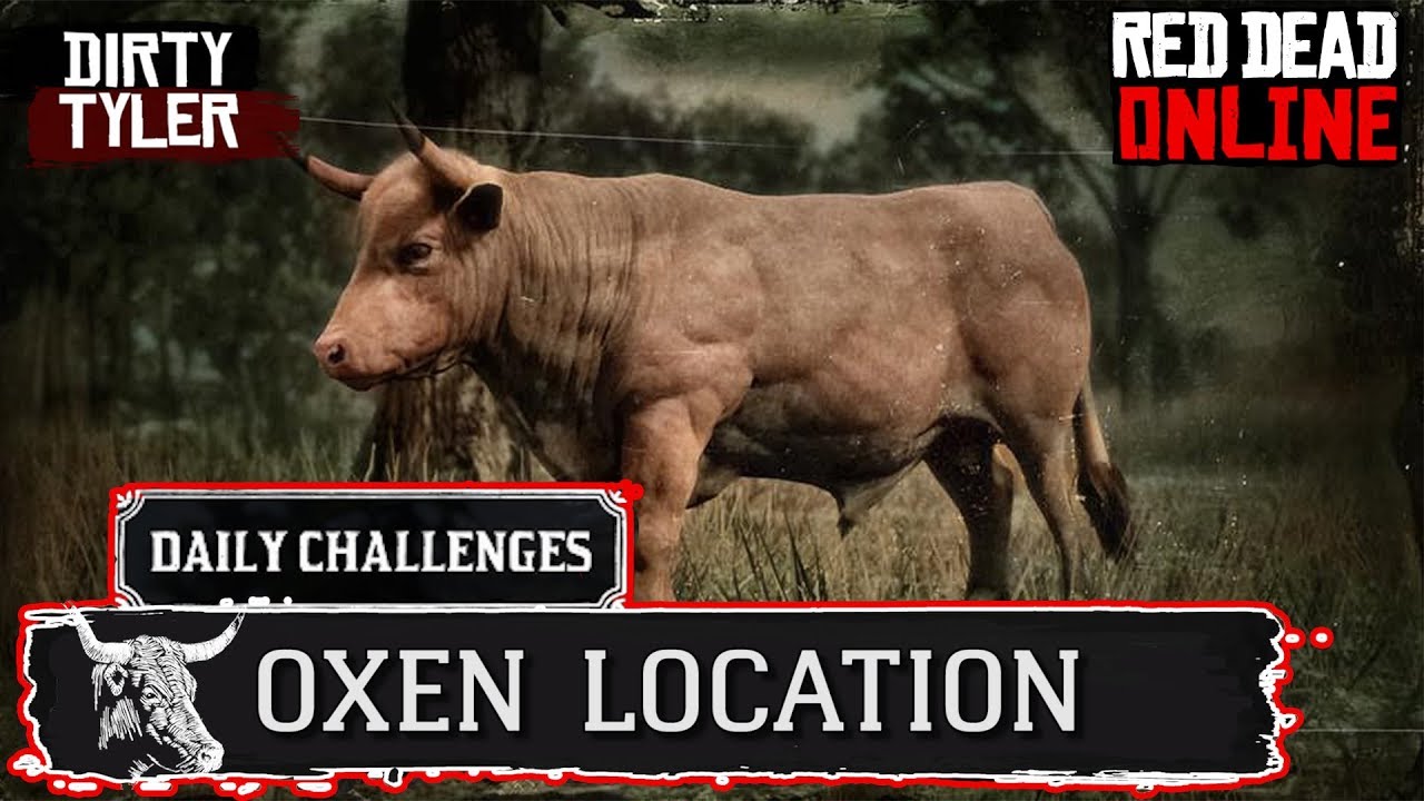 Oxen Locations RDR2 Red Dead Online - YouTube