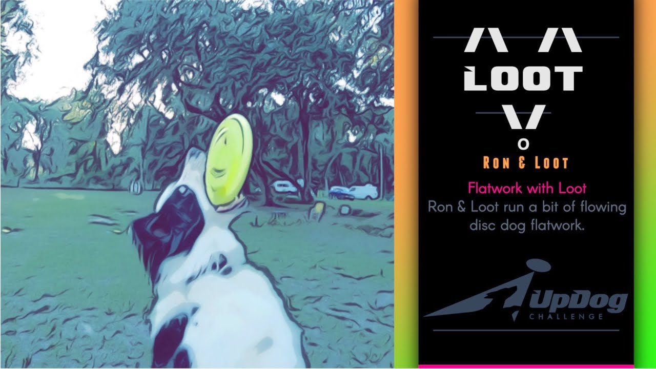 Flatwork With Loot - YouTube