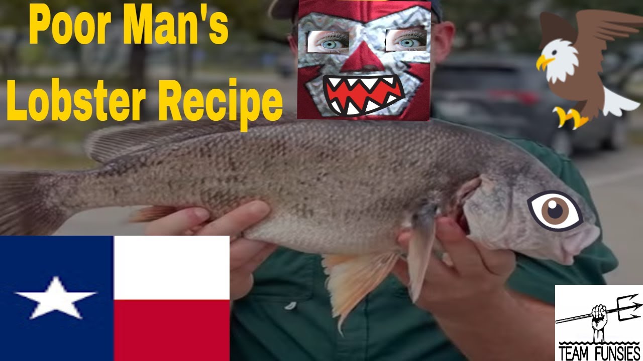 Poor Mans Lobster Freshwater Drum/Gaspar Gou🎣🏊 - YouTube