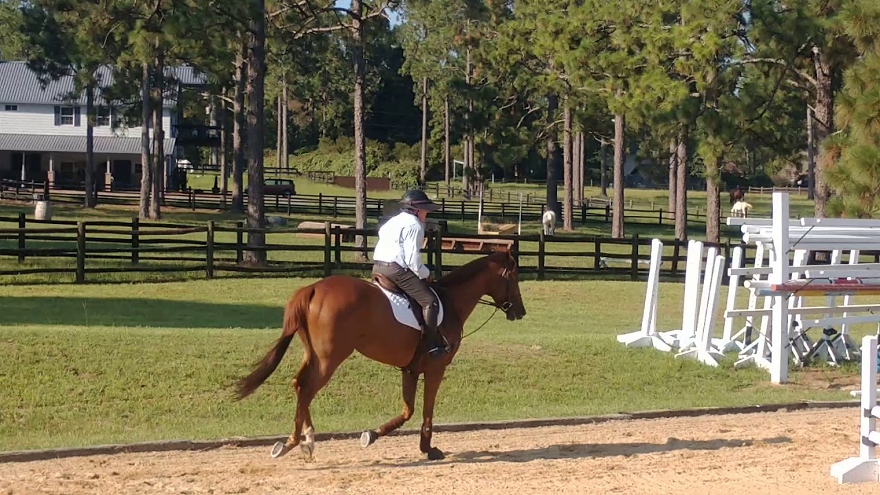 Madison canter right - YouTube