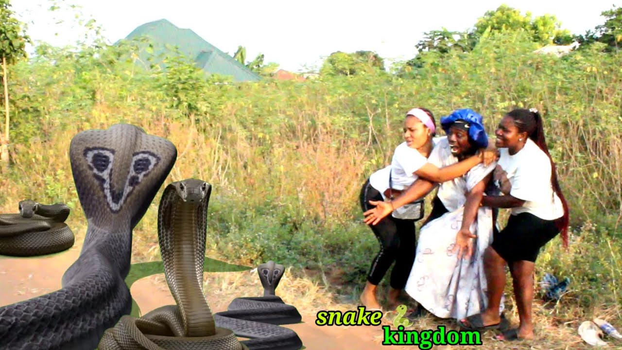 Snake kingdom || Yawa skits || funnybros || sirbalo comedy ...