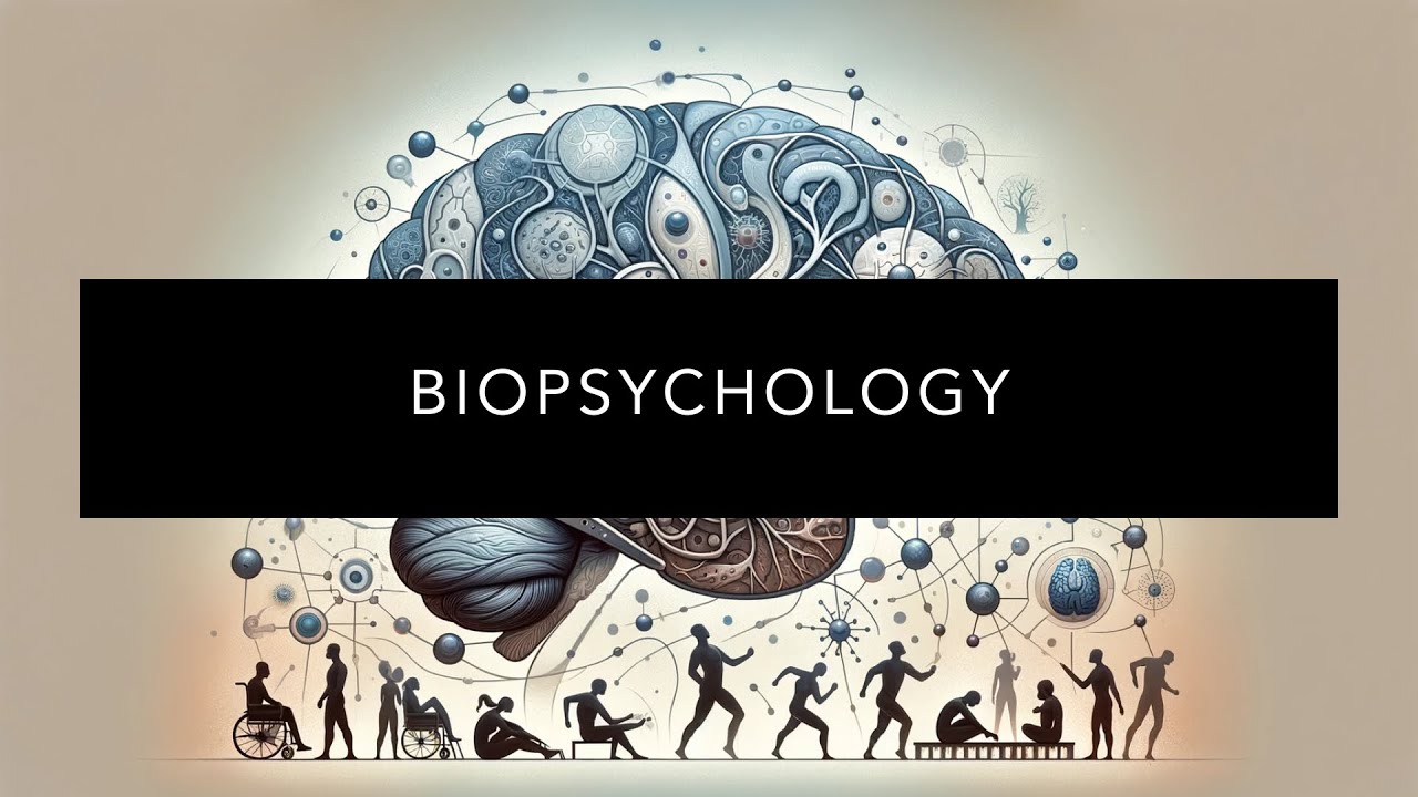 Biopsychology Explained: Brain, Behavior & Neuroscience Basics - YouTube