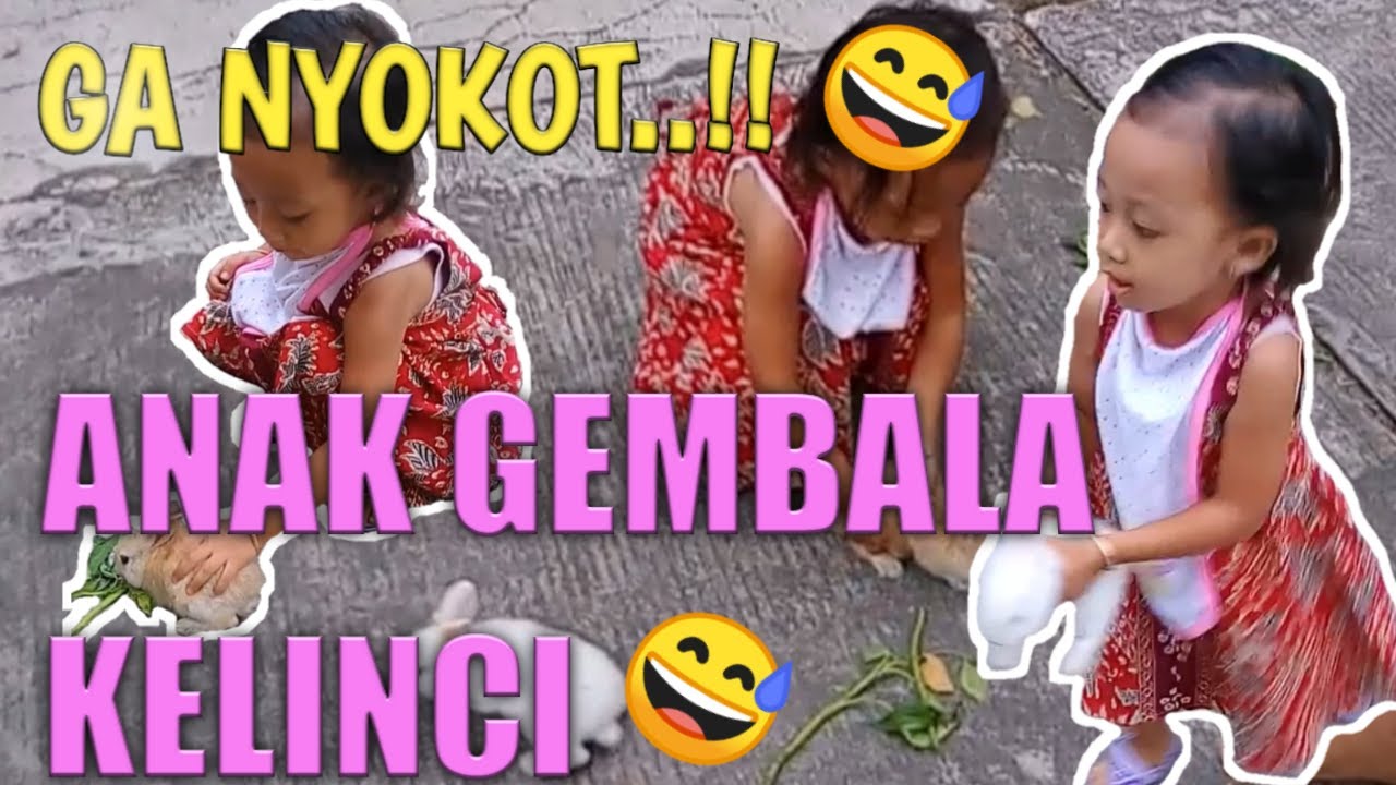 LUCU...!! BERMAIN KEJAR-KEJARAN DENGAN KELINCI 🐇🐇🐇 - YouTube