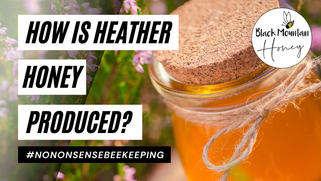 Heather Apiary - How is Heather Honey Produced - Heather Honey Combs ...