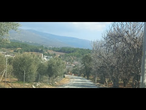 İZMİR KEMALPAŞA DAMLACIK KÖYÜ ⁄BEN KÖYLERİ ÇOK SEVİYORUM⁄ HELEKİ BÖYLESİ KÖYLERİ @belgesel