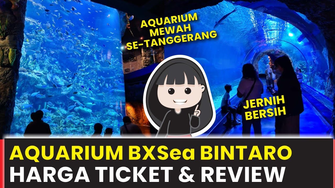 HARGA TICKET BXSea BINTARO TANGGERANG, LENGKAP DENGAN REVIEW NYA #bxsea ...