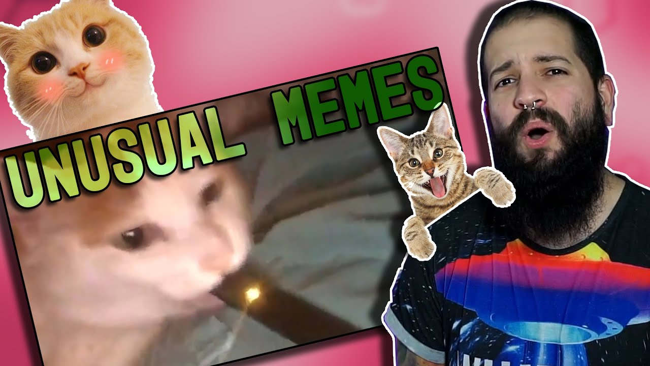 Memes in CUTE | Reaction auf UNUSUAL MEMES COMPILATION V112 - YouTube