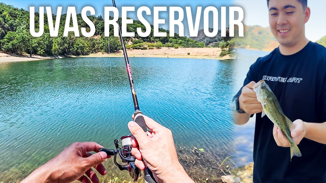 FUN DAY FISHING AT UVAS RESERVOIR - YouTube