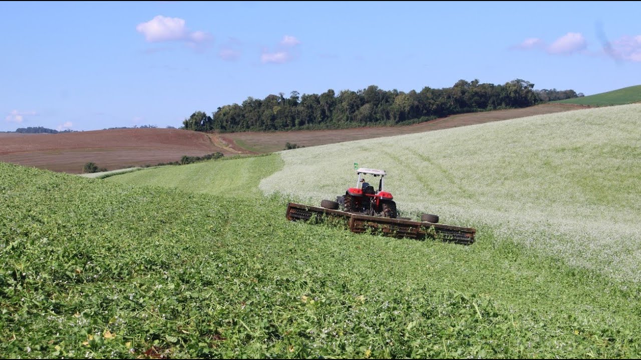 Rolo faca 9 metros articulado sendo utilizado no nabo. - YouTube