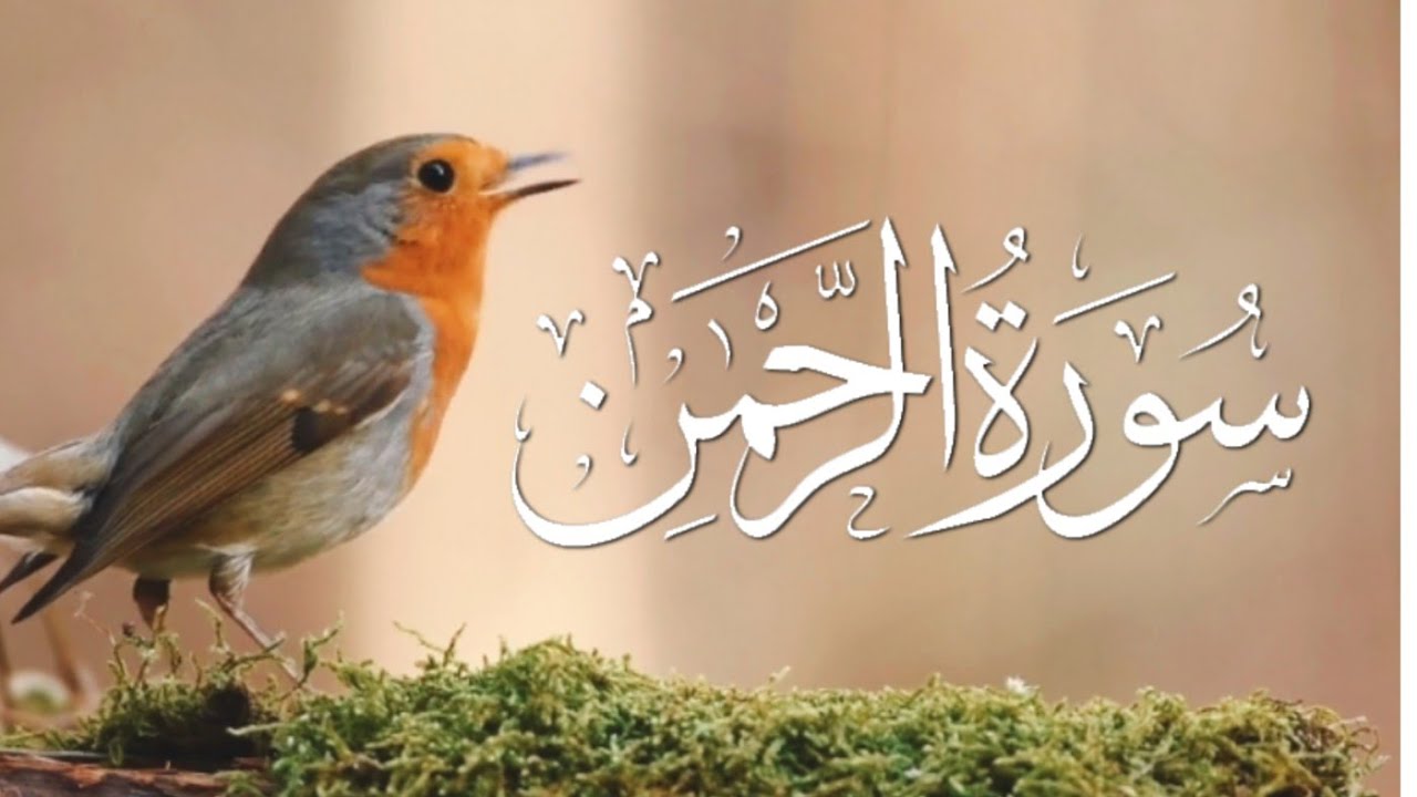 surah rahman abdul rahman Sheikh sahib | Tilawat e quran - YouTube