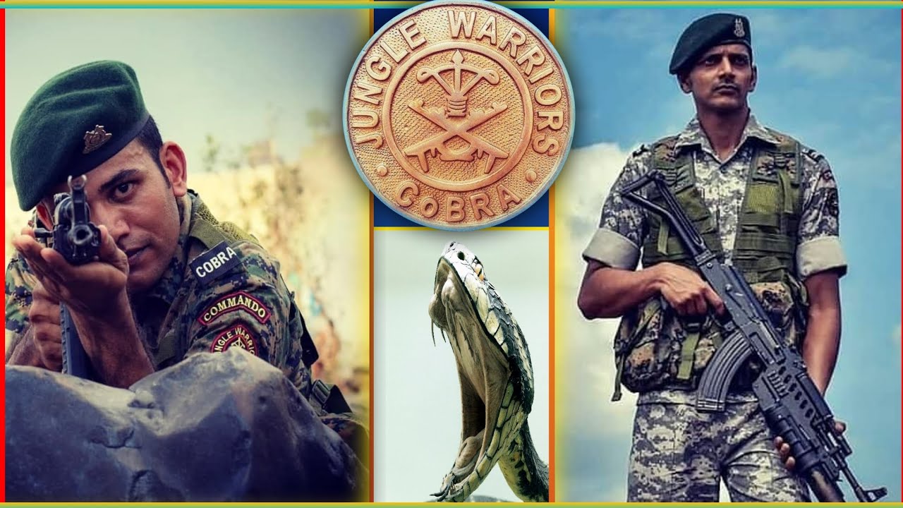 Cobra Commando The Jungle Warriors CoBRA Full Meaning cobra cobra-commando-the-jungle-warriors-cobra-full-meaning-cobra