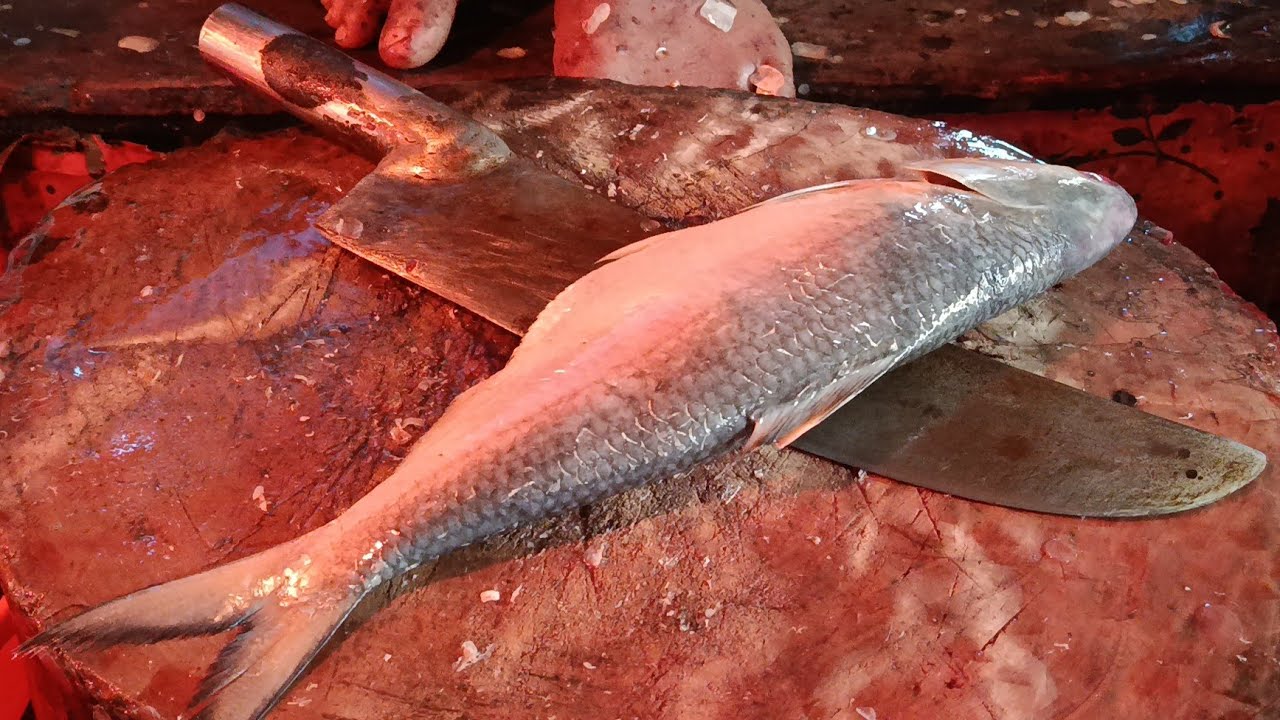 Real Fish Blogger // "Skill in cutting different types of fish 🐟🔪🐠🔪 ...
