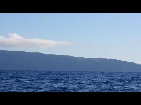 The Desertas Islands - Portugal - July 2021