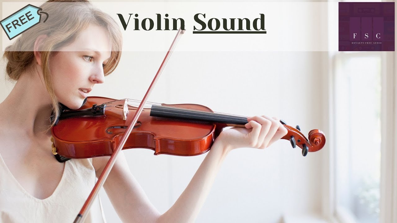 Violin Sound | Download for Free | Musical Instruments sounds ...