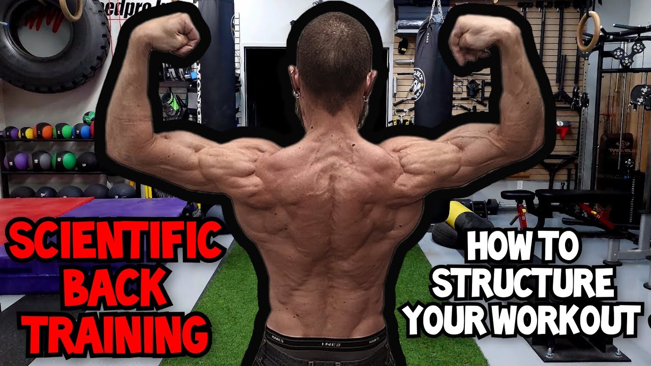 How to SCIENTIFICALLY Structure Your Back Workout for MAXIMUM Results ...