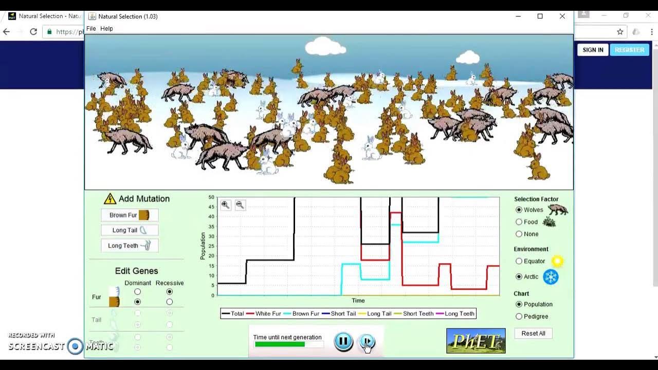 PhET interactive simulations through natural selection - YouTube