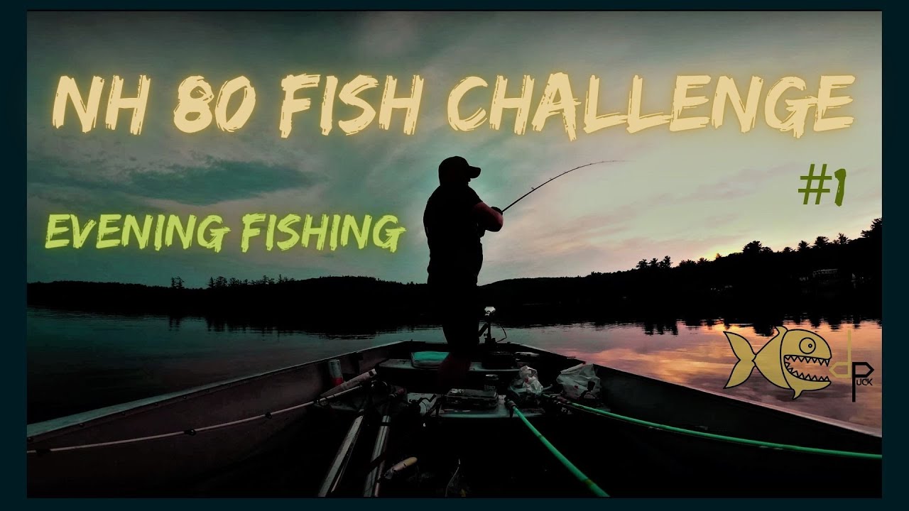 NH 80 fish Challenge in one week: Day 1 The start - YouTube
