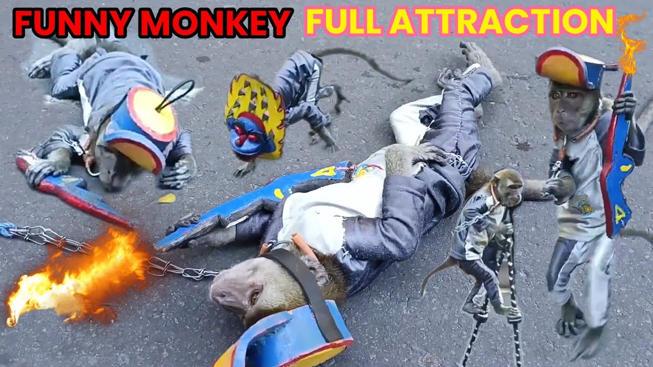 FUNNY MONKEY TOPENG MONYET LUCU FULL ATRAKSI - YouTube