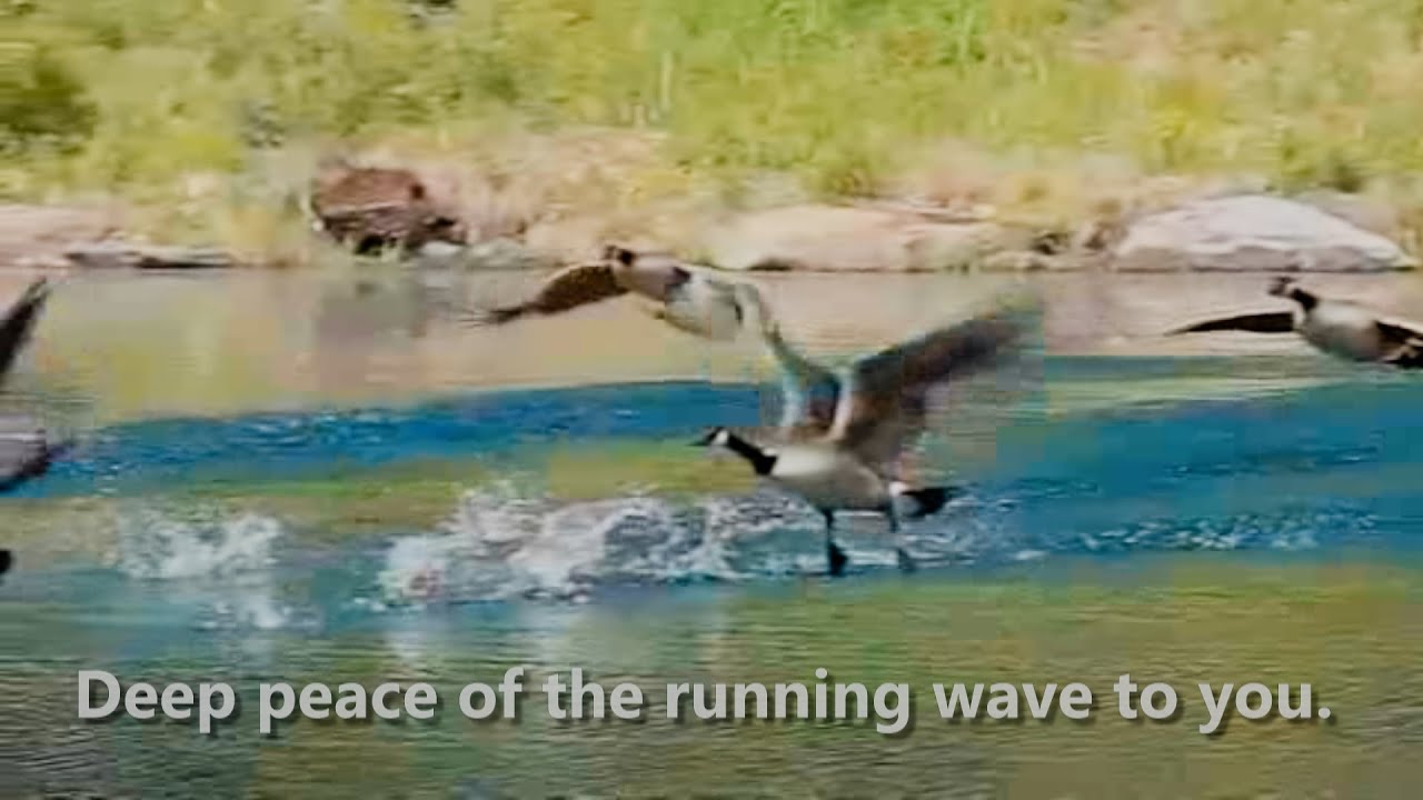 Deep Peace of the Running Wave to You - John Rutter [with lyrics for ...
