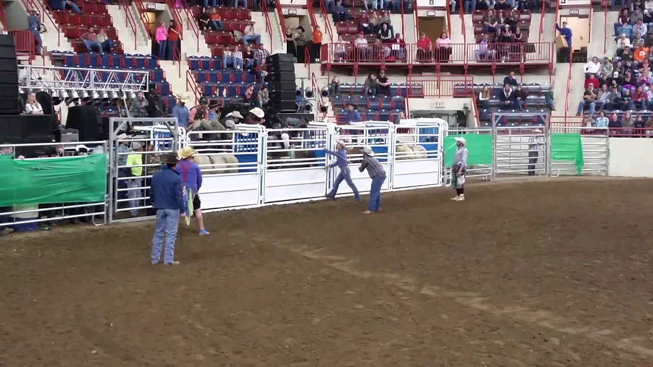 Bullride Mania(12) - YouTube