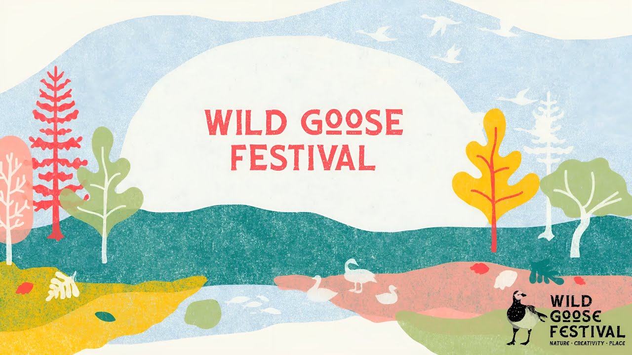 A Bird's Eye View at Caerlaverock Nature Reserve | Wild Goose Festival ...